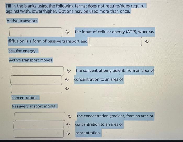 Solved Fill in the blanks using the following terms: does | Chegg.com