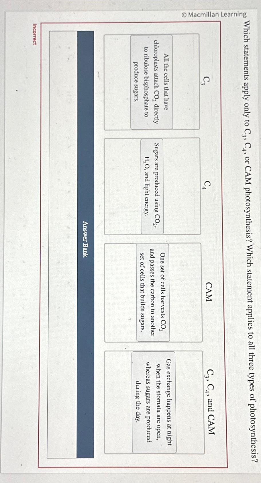 Solved Which statements apply only to C3,C4, ﻿or CAM | Chegg.com