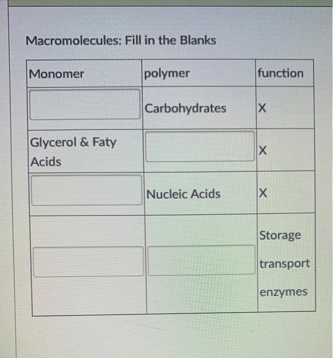 Solved Macromolecules: Fill in the Blanks Monomer polymer | Chegg.com