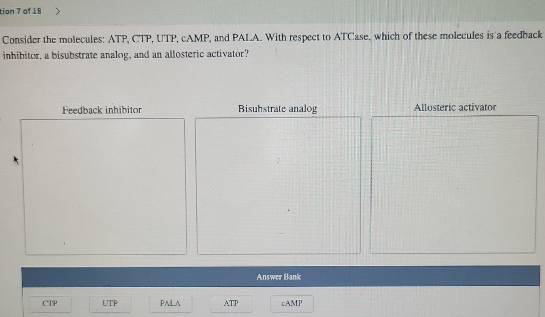 Solved Consider The Molecules Atp Ctp Utp Camp And