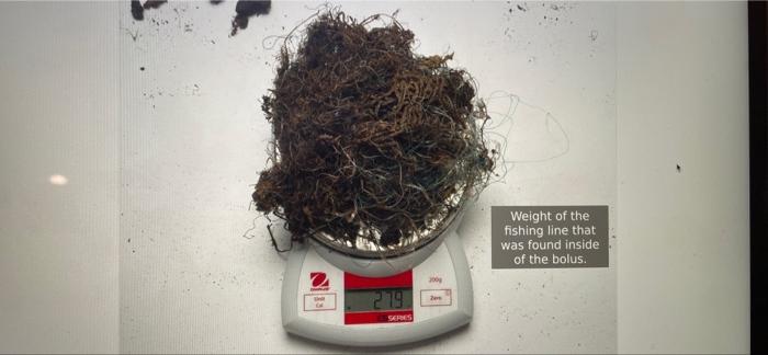 Solved View the photos to gather information regarding the | Chegg.com