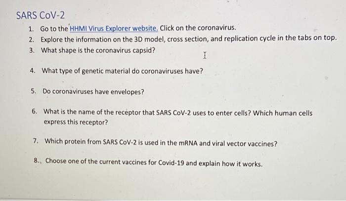 Solved SARS COV-2 1. Go to the HHMI Virus Explorer website. | Chegg.com