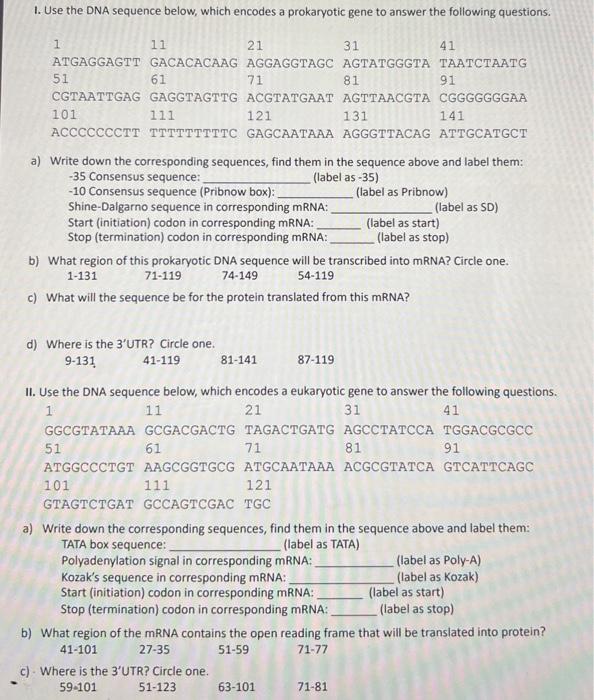Solved I. Use the DNA sequence below, which encodes a | Chegg.com
