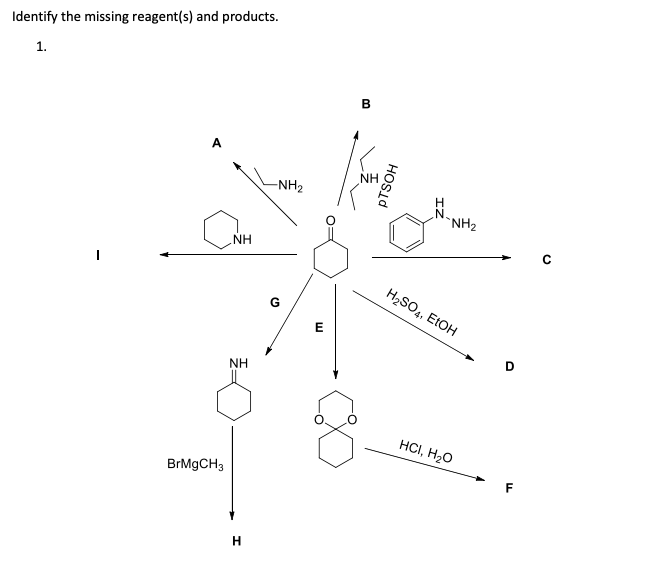 Solved Identify the missing reagent(s) ﻿and products.B | Chegg.com