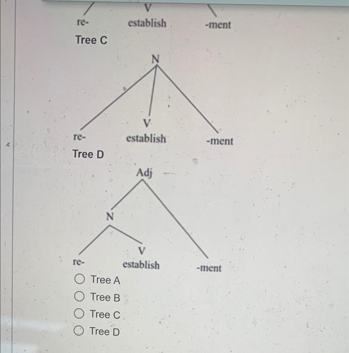Solved Which of the following word trees is CORRECT for the | Chegg.com