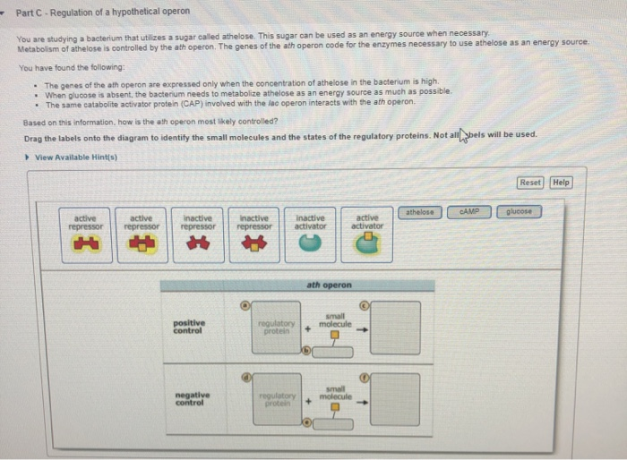 PA Sort the statements into the appropriate bins | Chegg.com