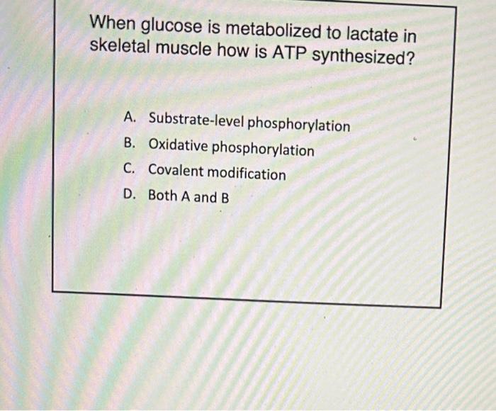 Solved When glucose is metabolized to lactate in skeletal | Chegg.com