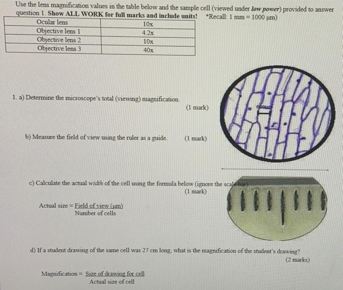 Solved Use the lens magnification values in the table below | Chegg.com