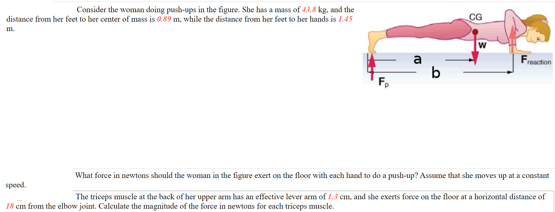 Solved What force in newtons should the woman in the figure | Chegg.com