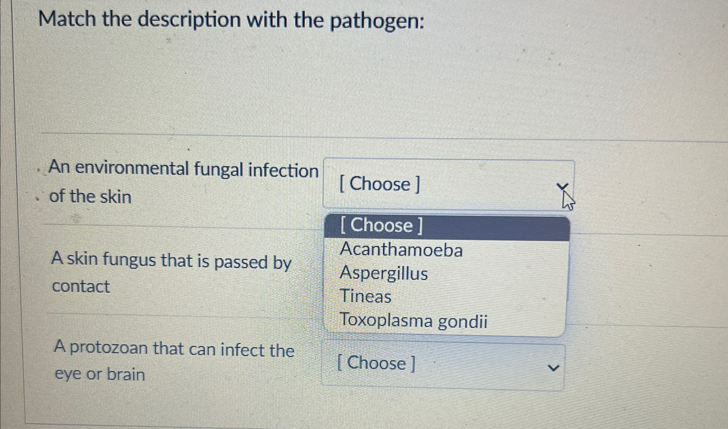 Solved Match the description with the pathogen:An | Chegg.com