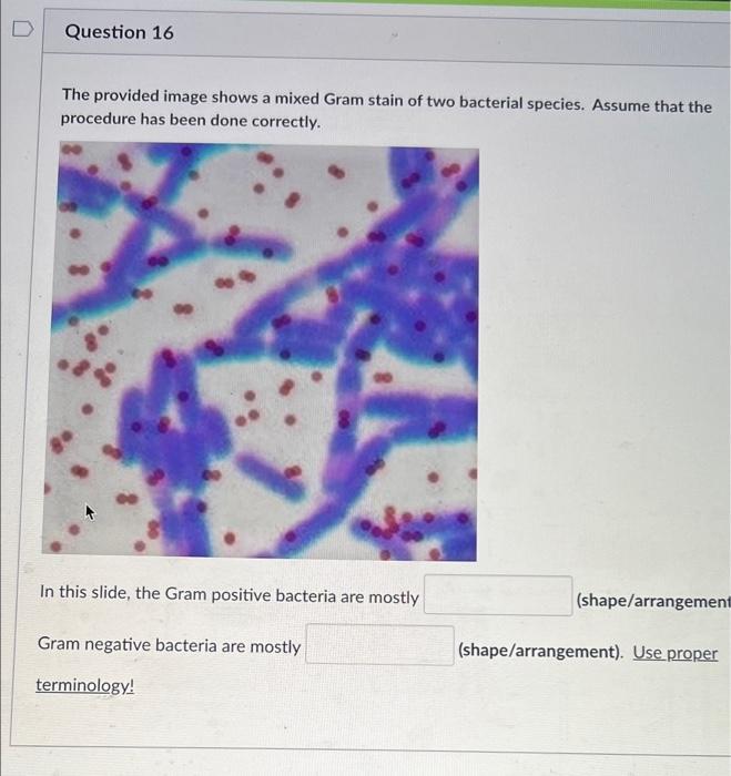Solved Question 16 The provided image shows a mixed Gram | Chegg.com