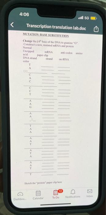Solved Clange the 244 base of the DNA so guanine "G G∗. | Chegg.com