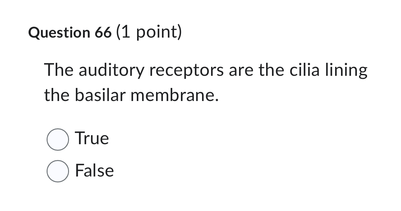 Solved Question 66 (1 ﻿point)The auditory receptors are the | Chegg.com