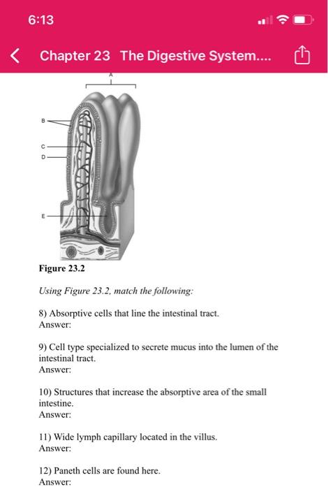 Solved 6:13 Chapter 23 The Digestive System.... Figure 23.2 | Chegg.com