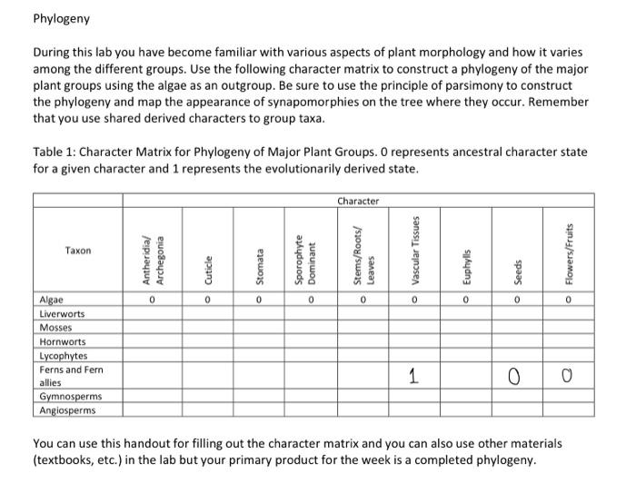 Solved Phylogeny During this lab you have become familiar | Chegg.com