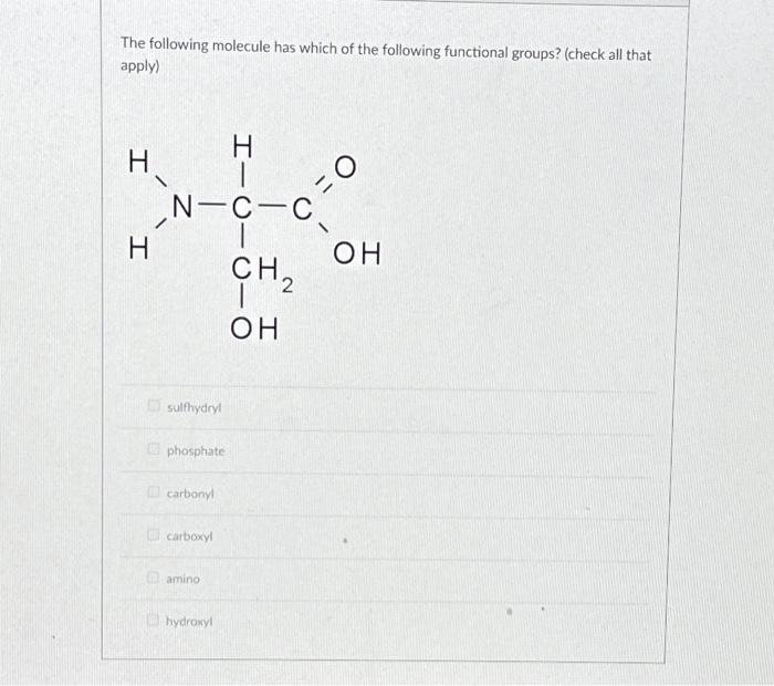 Solved The following molecule has which of the following | Chegg.com