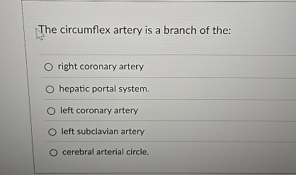 Solved The circumflex artery is a branch of the:right | Chegg.com