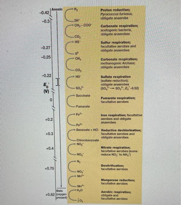 Solved 3 a) Based on the provided redox tower, what order | Chegg.com