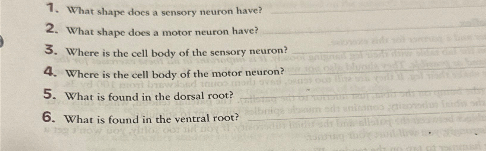 Solved What shape does a sensory neuron have?What shape does | Chegg.com