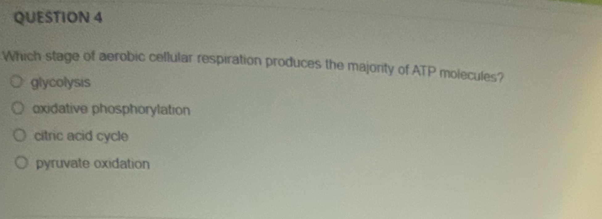 Solved QUESTION 4Which stage of aerobic cellular respiration | Chegg.com