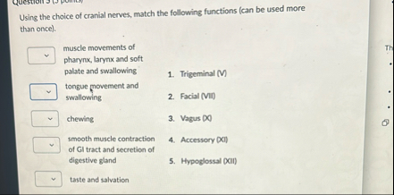 Solved Using the choice of cranial nerves, match the | Chegg.com
