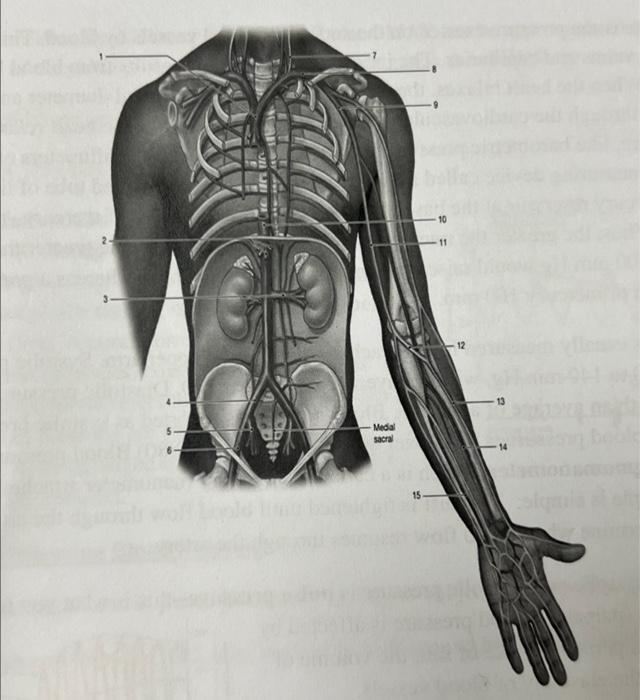 Solved label 1-15 | Chegg.com