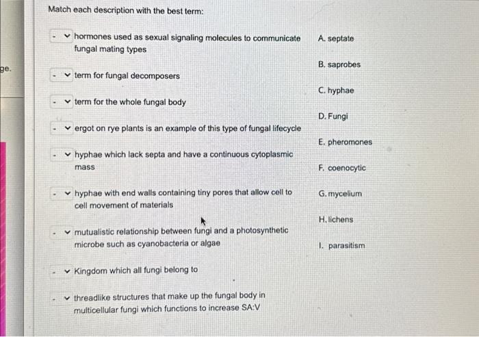 Solved Match each description with the best term: hormones | Chegg.com