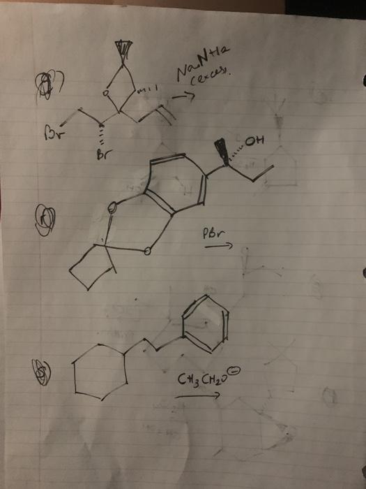 Solved NaNtle g cexcess y OH Br por CH₃ CH₂O | Chegg.com