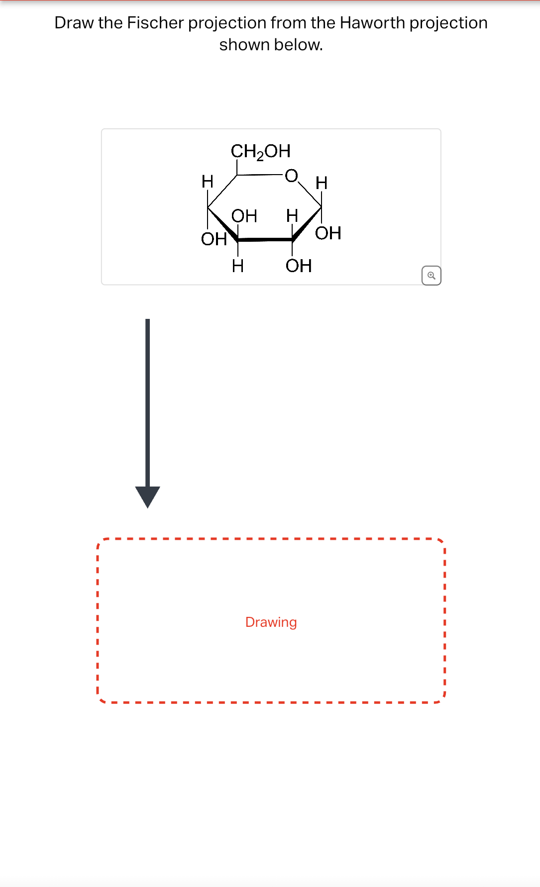 Solved Draw the Fischer projection from the Haworth | Chegg.com