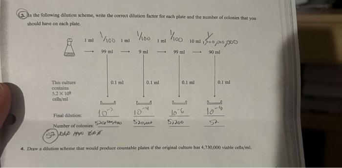 Solved Dilution Problems 1. What is the final dilution | Chegg.com