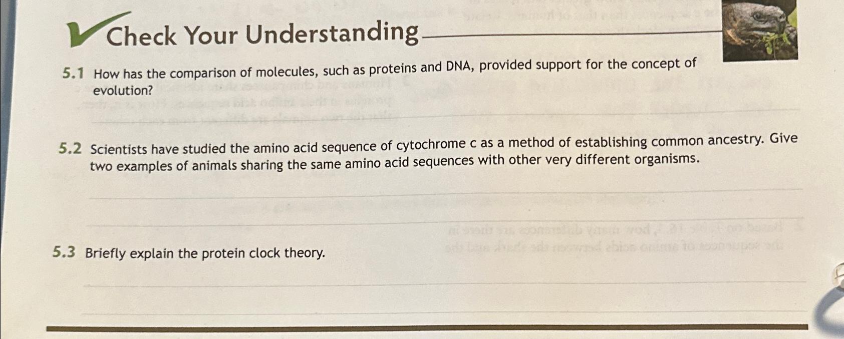 Solved Check Your Understanding5.1 ﻿How has the comparison | Chegg.com