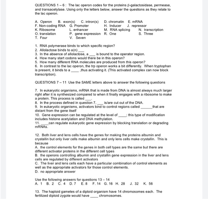 Solved QUESTIONS 1-6: The lac operon codes for the proteins | Chegg.com