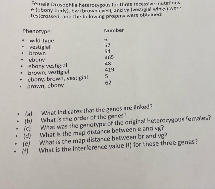 Solved Female Drosophila heterozygous for three recessive | Chegg.com