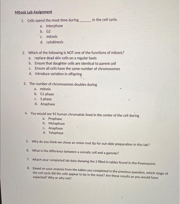 Solved 1. Cells spend the most time during in the cell | Chegg.com