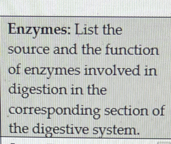 Solved Enzymes: List the source and the function of enzymes | Chegg.com