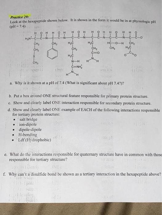 Solved Practice 29: Look at the hexapeptide shown below. It | Chegg.com
