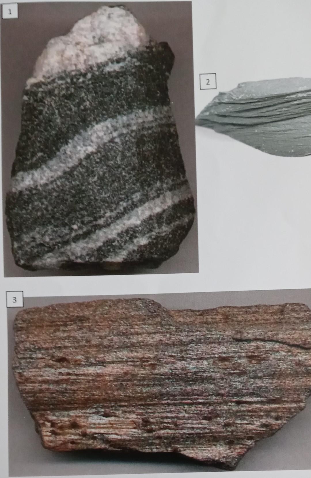 Solved Metamorphic Rock Identification KEY Distinctive | Chegg.com