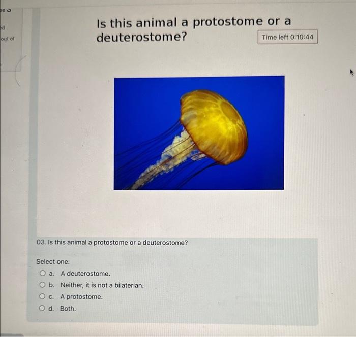Solved To which order do these animals belong? 14. To which | Chegg.com