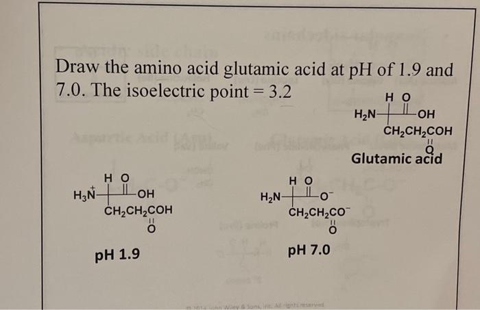 Solved Draw the amino acid glutamic acid at pH of 1.9 and | Chegg.com