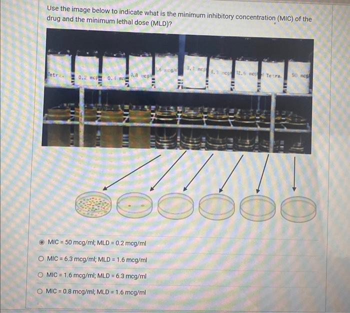 Use the image below to indicate what is the minimum | Chegg.com