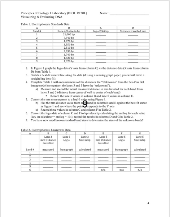 Principles of Biology I Laboratory (BIOL R120L) | Chegg.com