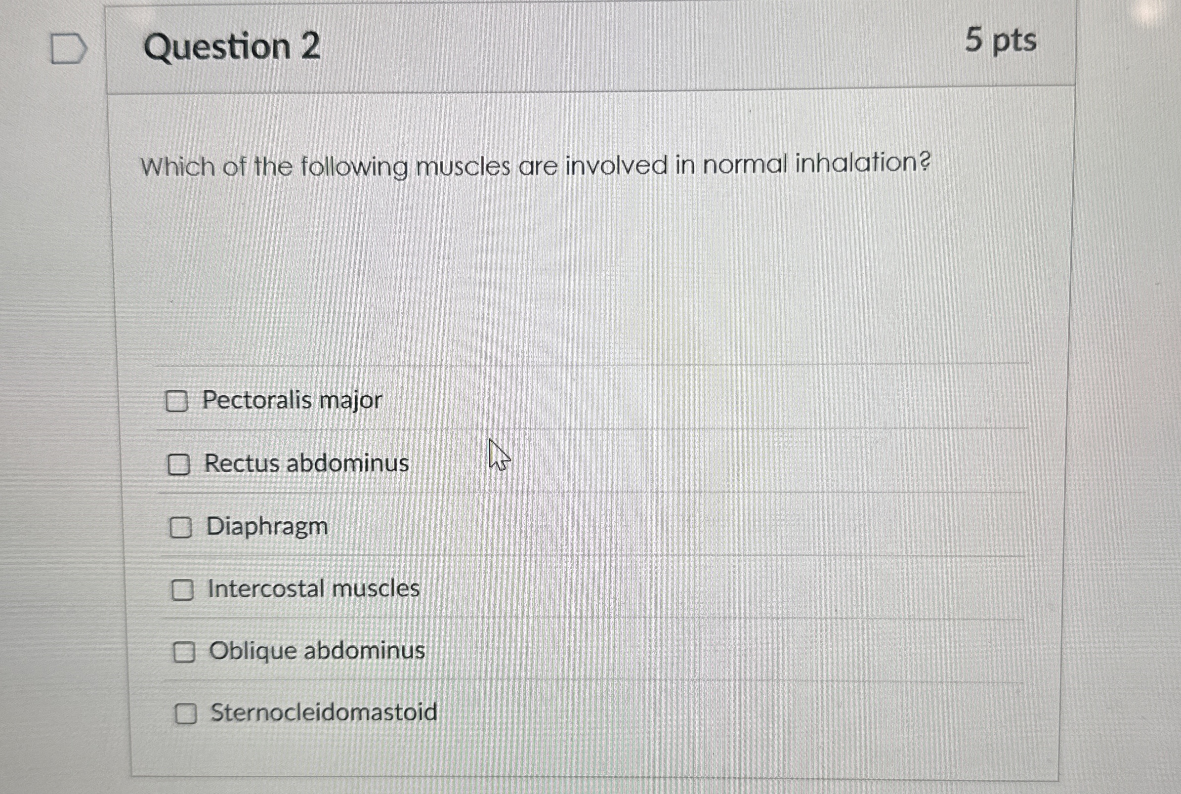 Solved Question 25 ﻿ptsWhich of the following muscles are | Chegg.com