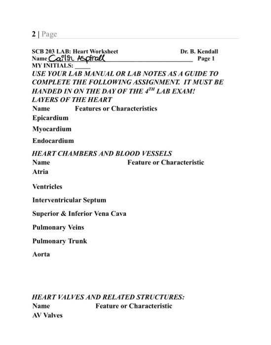 2 Page SCB 203 LAB: Heart Worksheet Name Cailin | Chegg.com