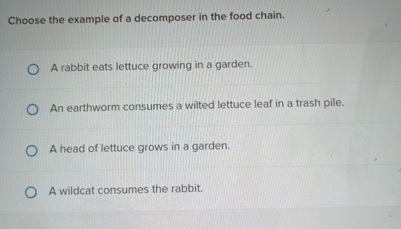 Solved Choose the example of a decomposer in the food | Chegg.com