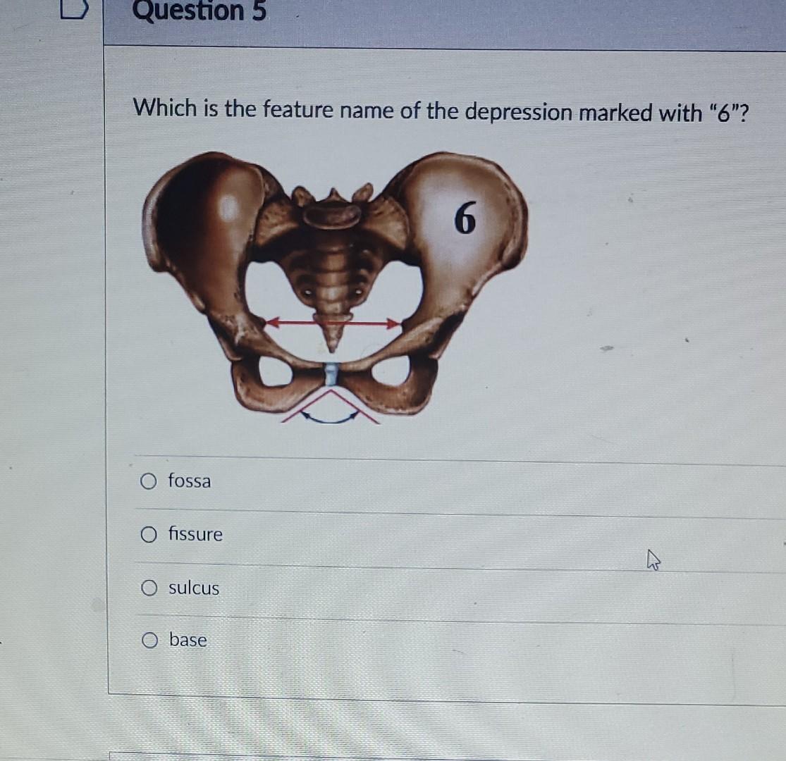 Solved Which is the feature name of the depression marked | Chegg.com
