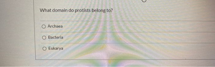 Solved What domain do protists belong to? O Archaea O | Chegg.com