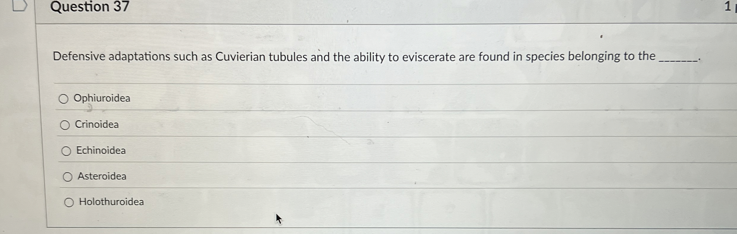 Solved Question 37Defensive adaptations such as Cuvierian | Chegg.com