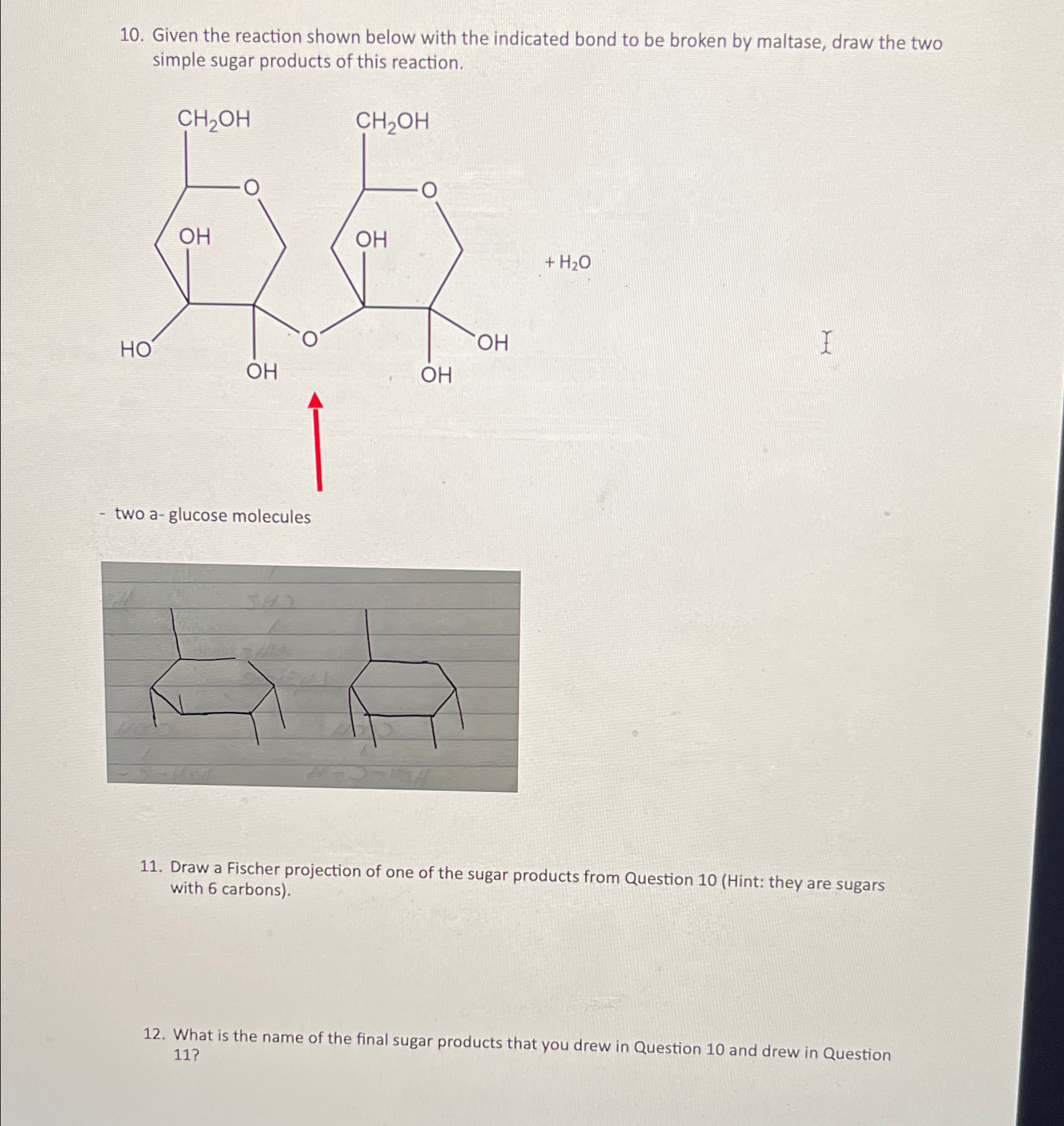 Solved questions 10 ﻿is complete, only need help with 11 ﻿& | Chegg.com