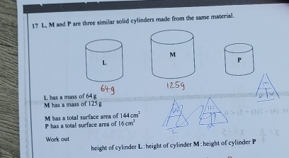 Solved L. M ﻿and P ﻿are three similar solid cylinders made | Chegg.com