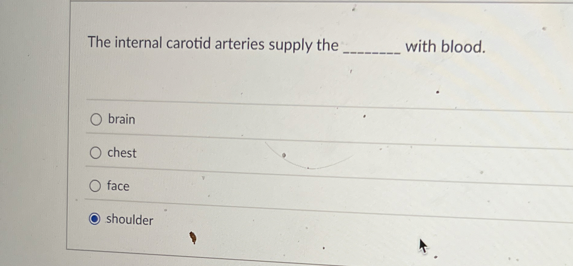 Solved The internal carotid arteries supply thewith | Chegg.com